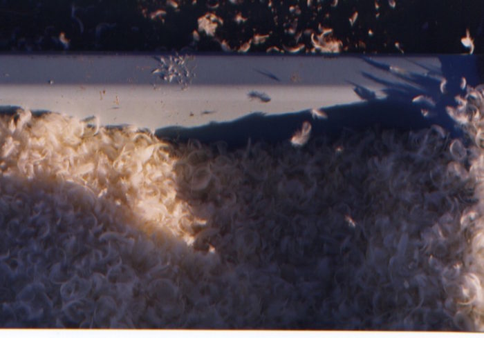 Christie Pearson | FEATHER BATH