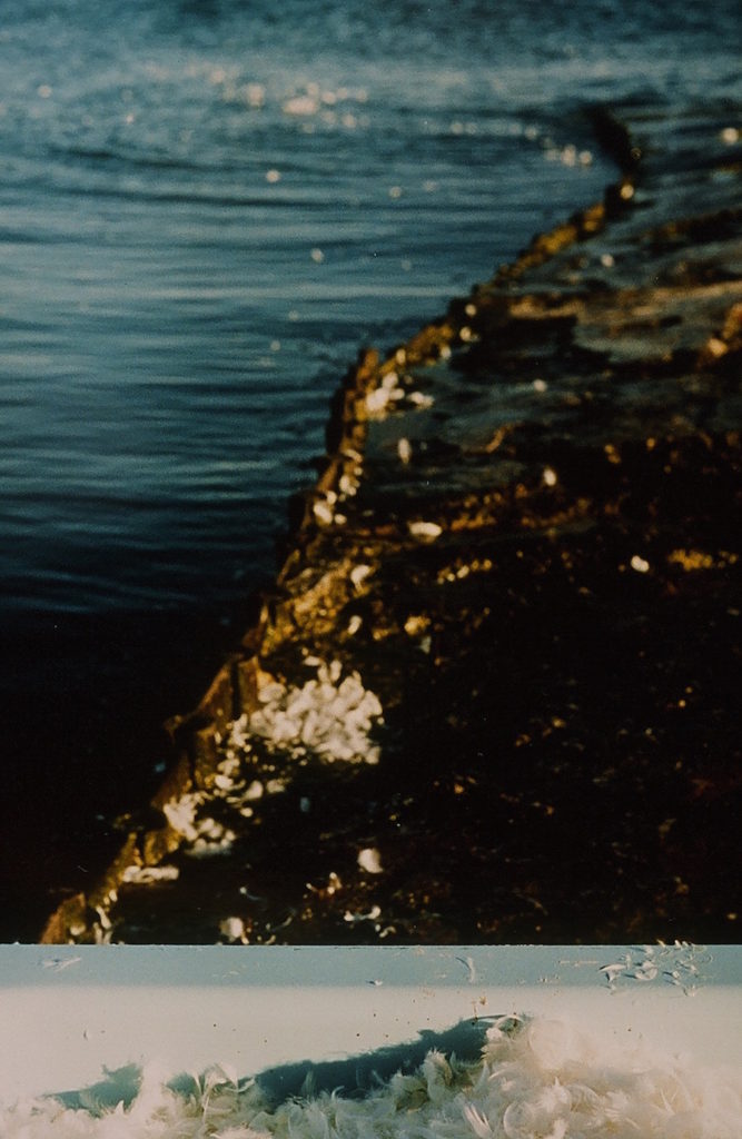 Christie Pearson | FEATHER BATH