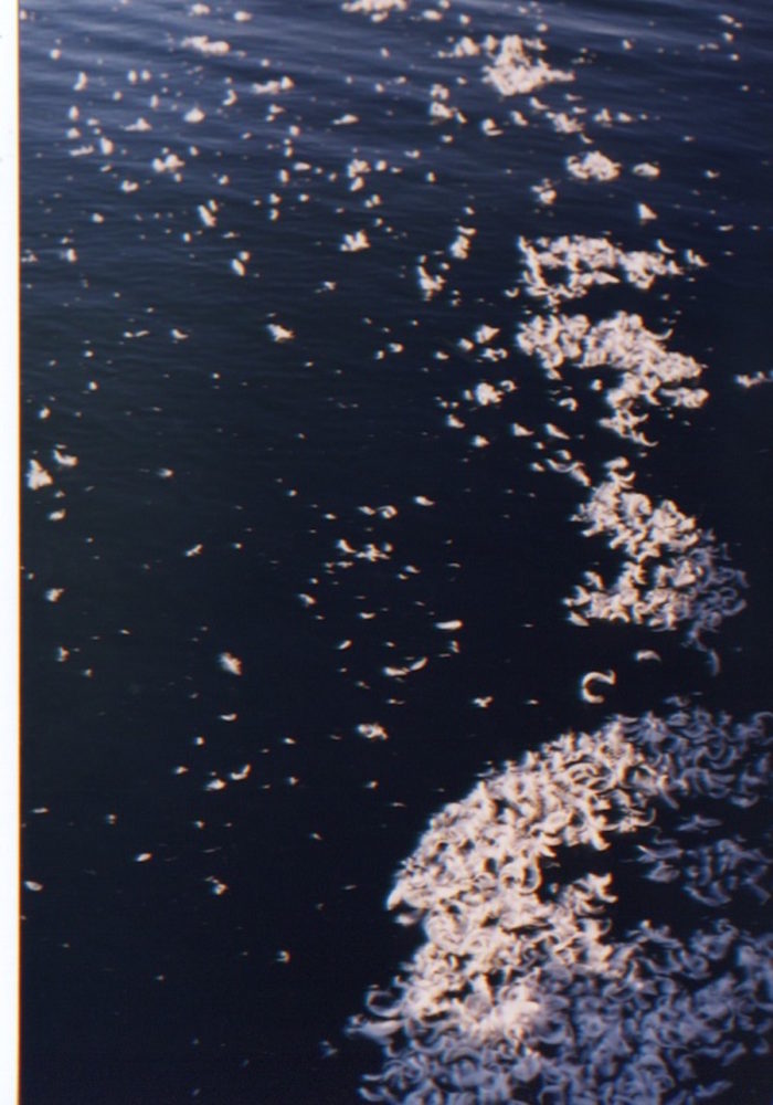 Christie Pearson | FEATHER BATH